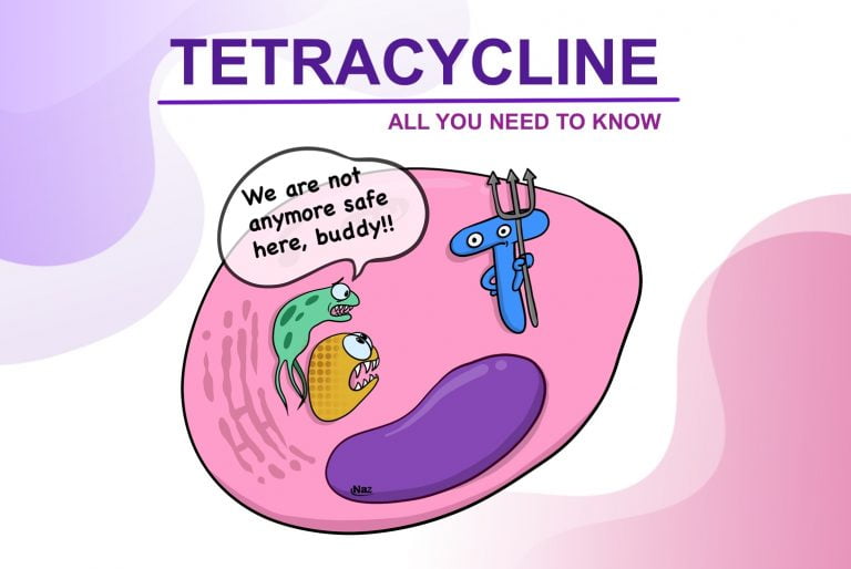 Tetracycline Antibiotics: Uses, mechanism of action, side-effects - Medinaz