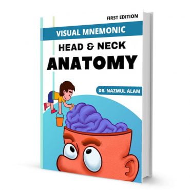 Anatomy Mnemonics & Tips - Best way to remember Anatomy