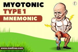 Myotonic dystrophy type 1 Mnemonic - Medinaz Blog