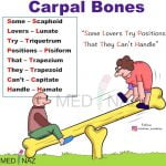 Mnemonic wrist bones (Carpal bones Mnemonic)